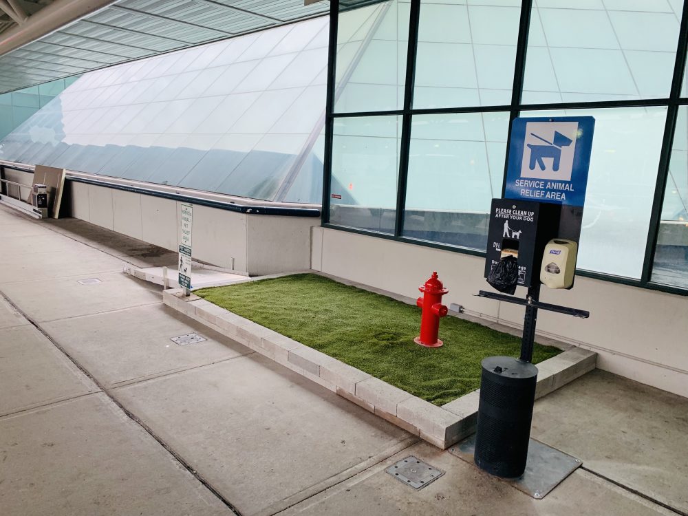 Service Animal Relief Area Has Been Relocated. Here’s Where to Find it ...